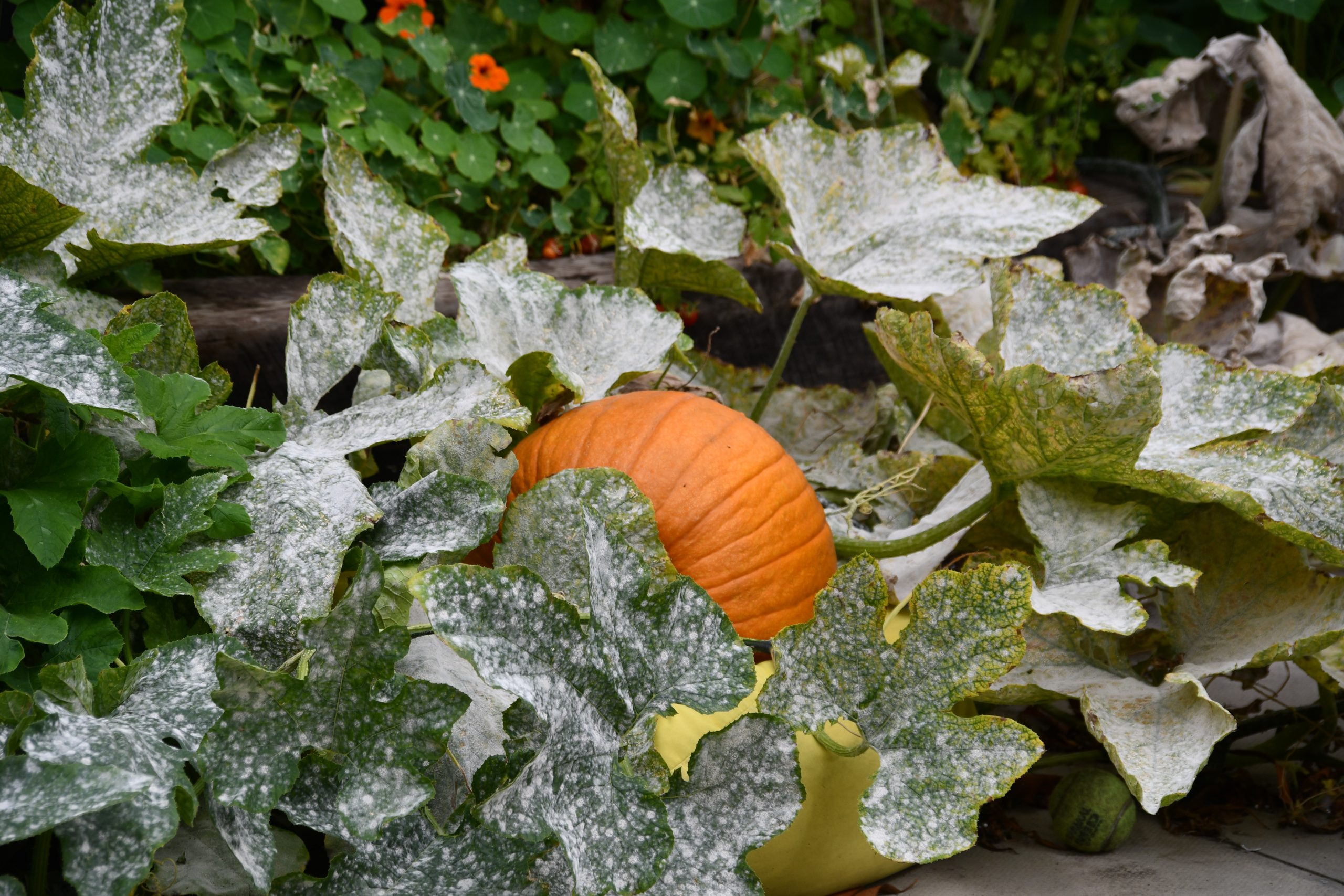 Welcome Back! | Avon House School